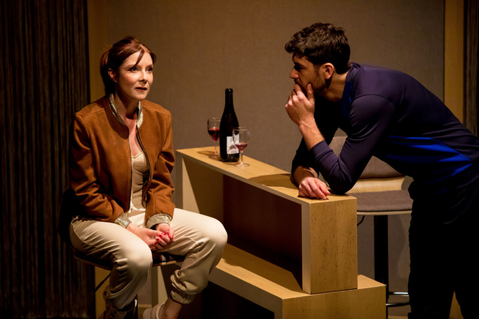 Théâtre : « La chambre des merveilles » d’après le roman de Julien ...